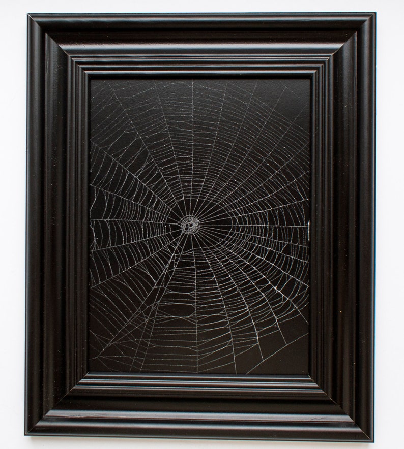 Real preserved spider web / Gothic halloween gift decor art | Etsy