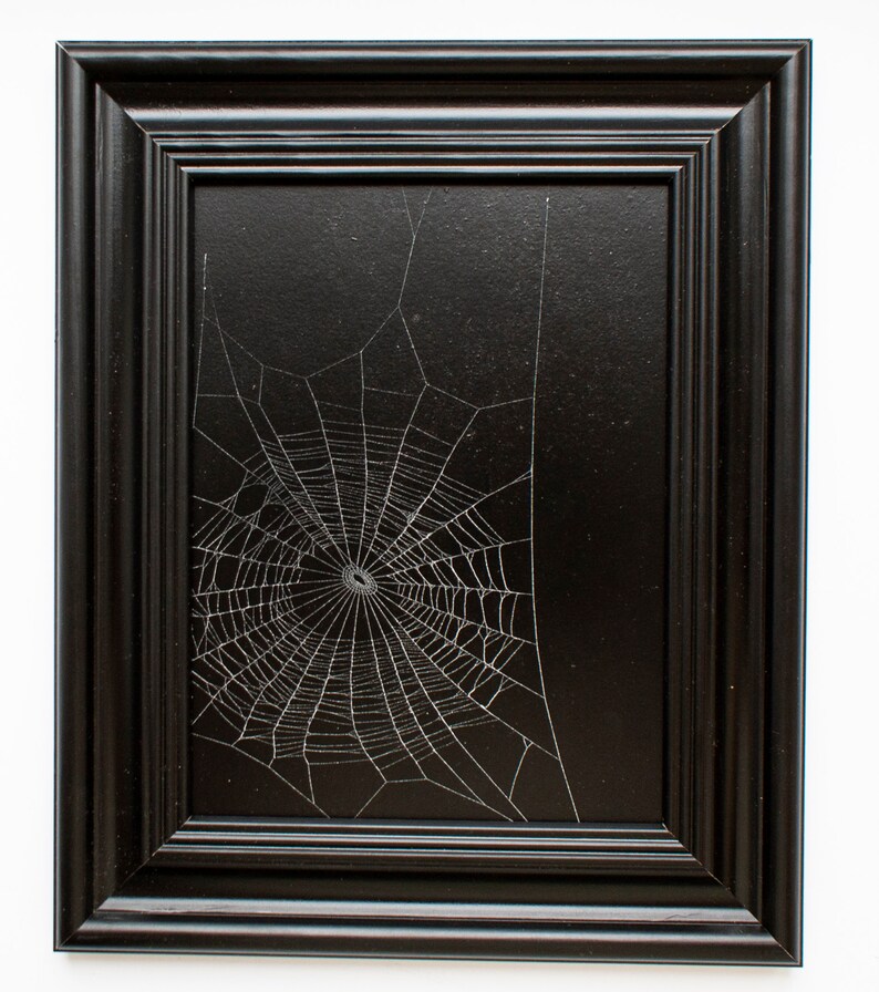 Real preserved spider web / Gothic halloween gift decor art | Etsy
