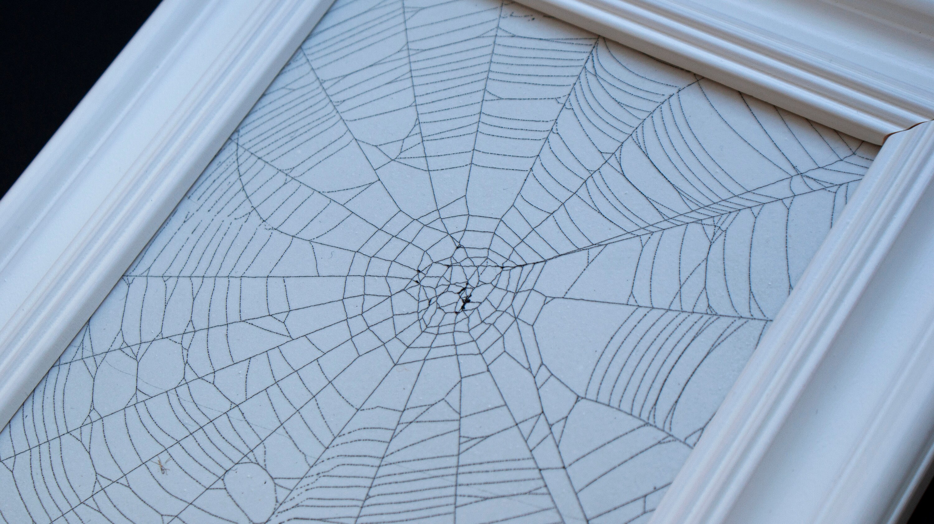 Real preserved spider web / Wall decor cobweb | Etsy