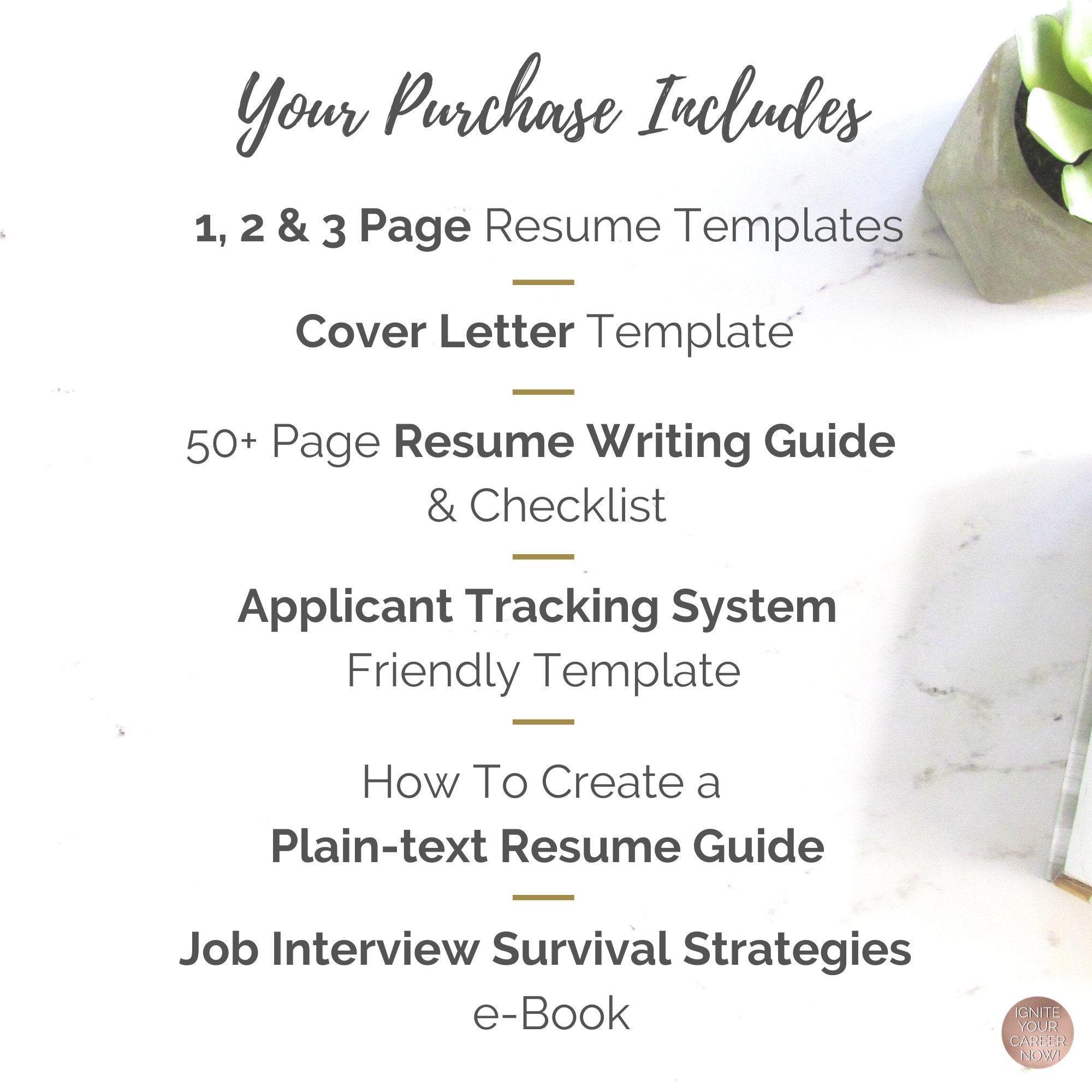 Classic Conservative Resume Template for Word Professional CV - Etsy