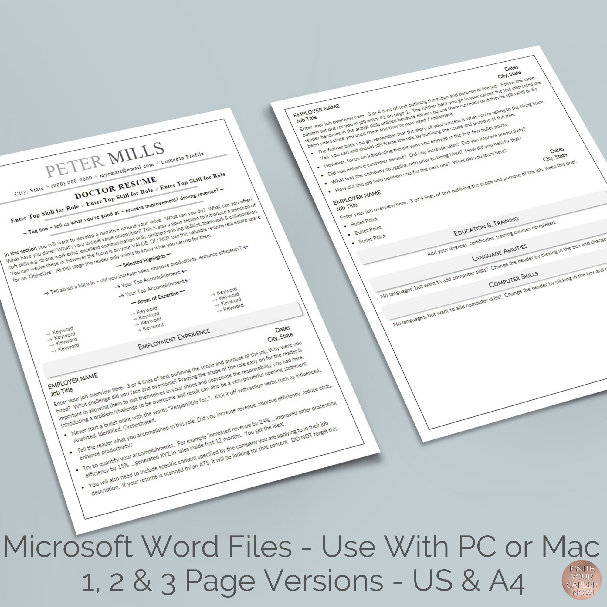 Classic Conservative Resume Template for Word Professional CV - Etsy