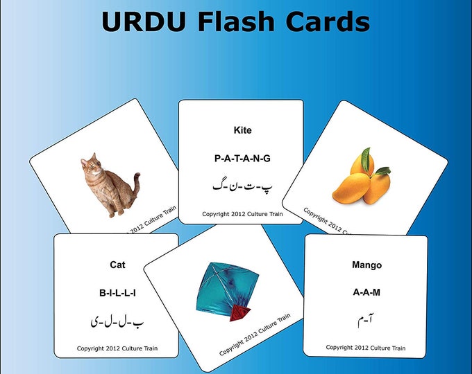 Urdu Flash Card - Etsy