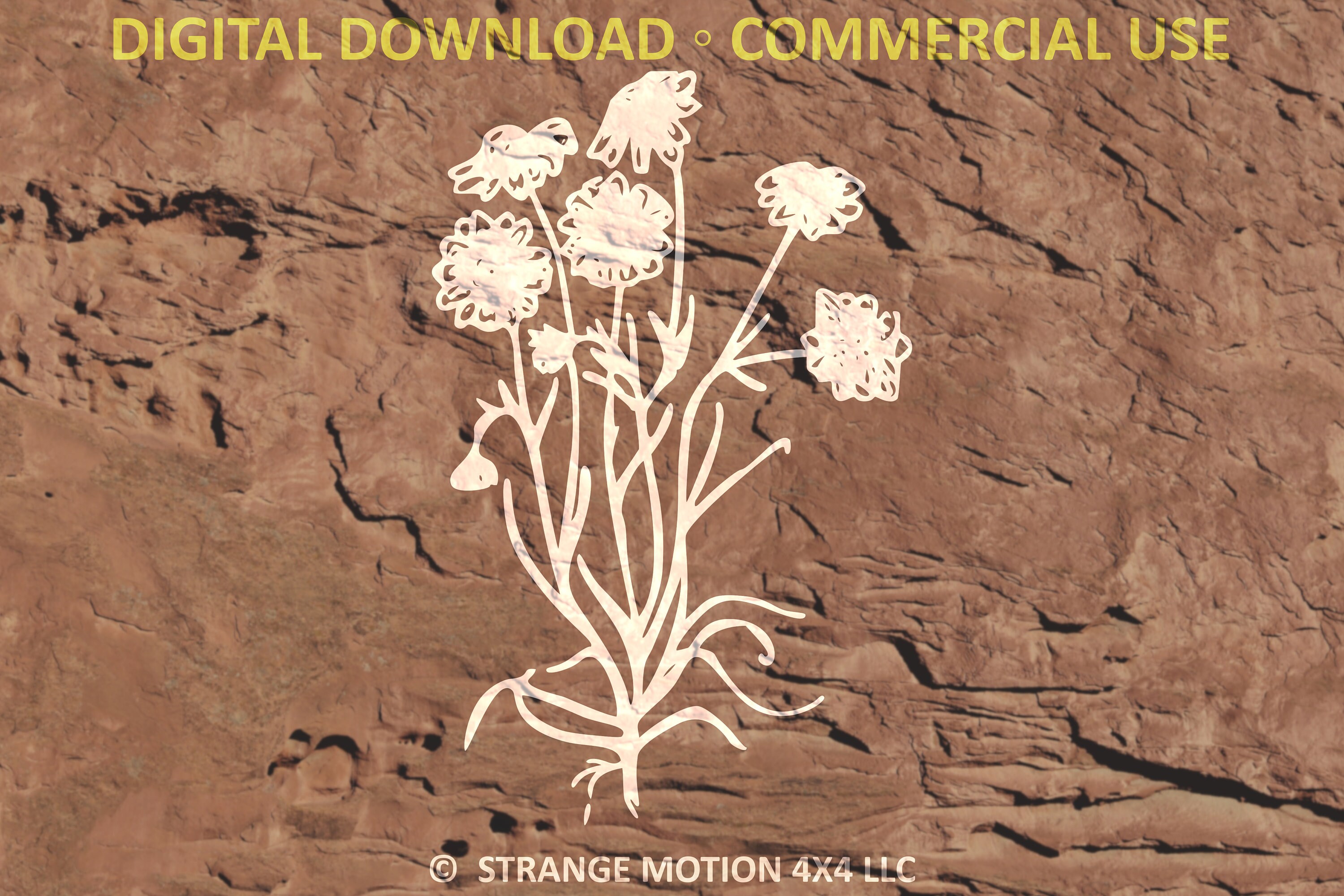 40 Wildflower SVG Files SVG Files Wildflower PNG Svg - Etsy