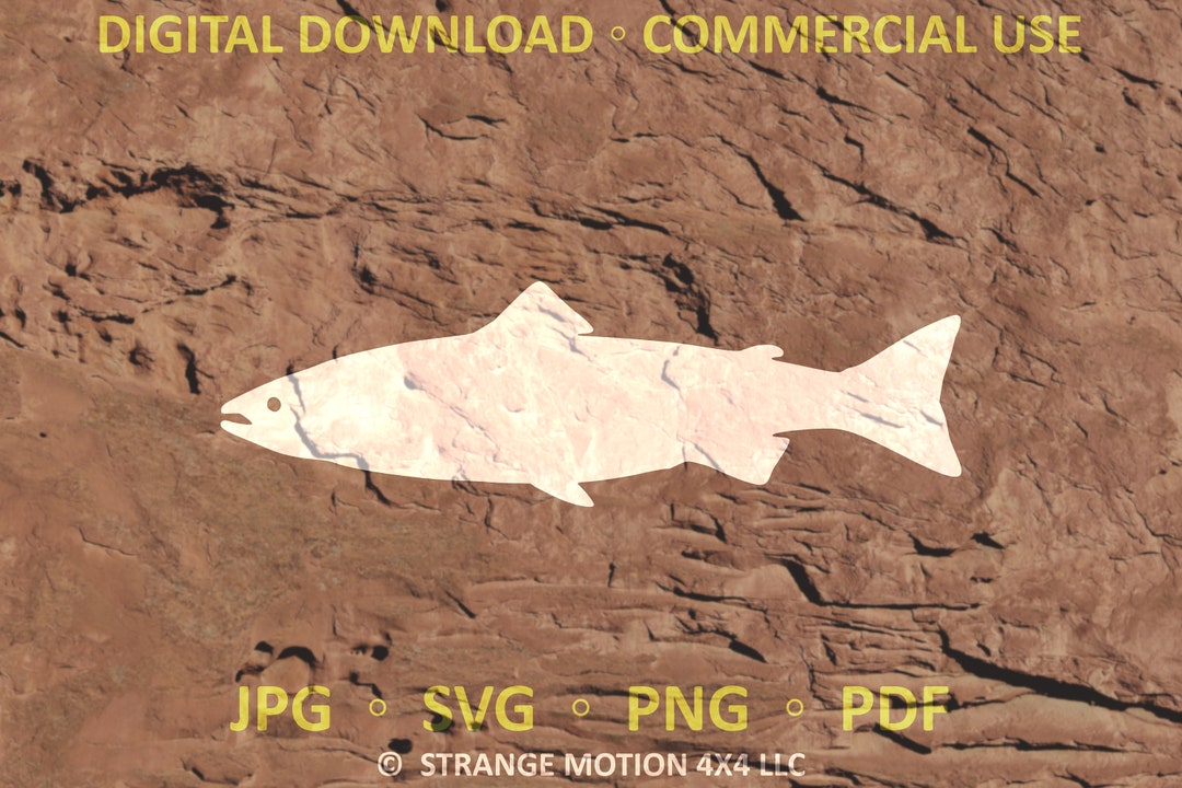 Salmon SVG File, Clipart, Fishing SVG, Fish Digital, Laser File, Laser ...