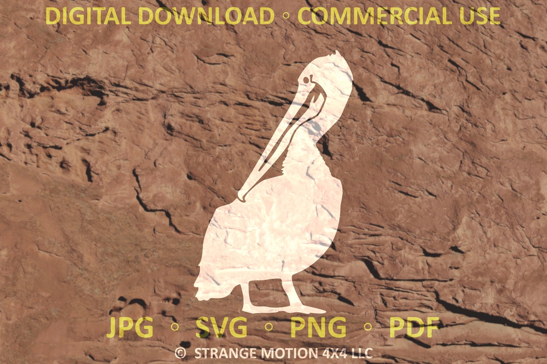 Pelican SVG File Pelican Clipart Animal SVG Bird SVG - Etsy Canada