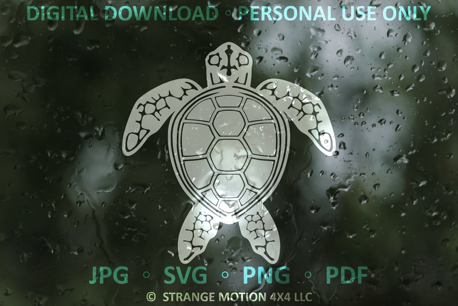 Sea Turtle SVG File Adventure Ocean and Beach SVG Decal Cut | Etsy