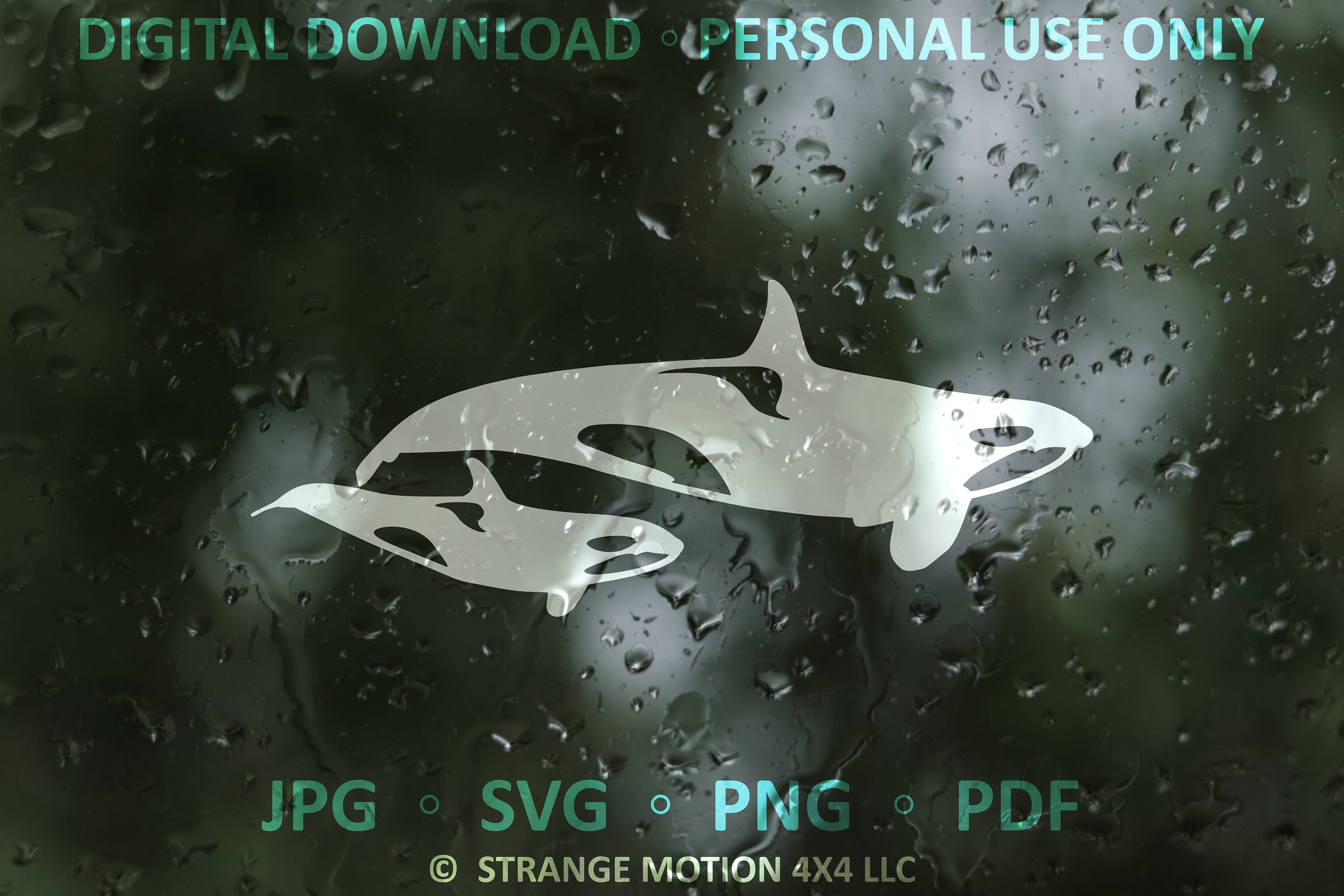 Killer Whale Svg Family SVG Orca Silhouette Ocean Clip Art | Etsy