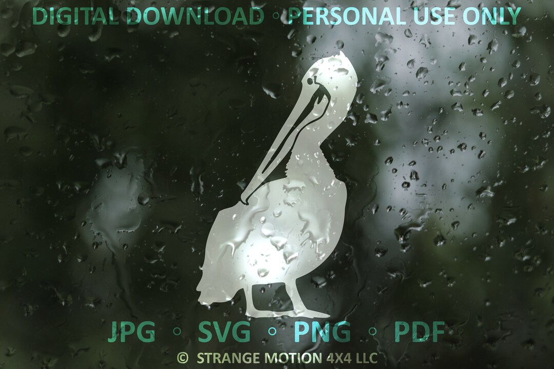 Pelican SVG File, Pelican Clipart, Adventure Svg, Laser File, Laser Cut ...