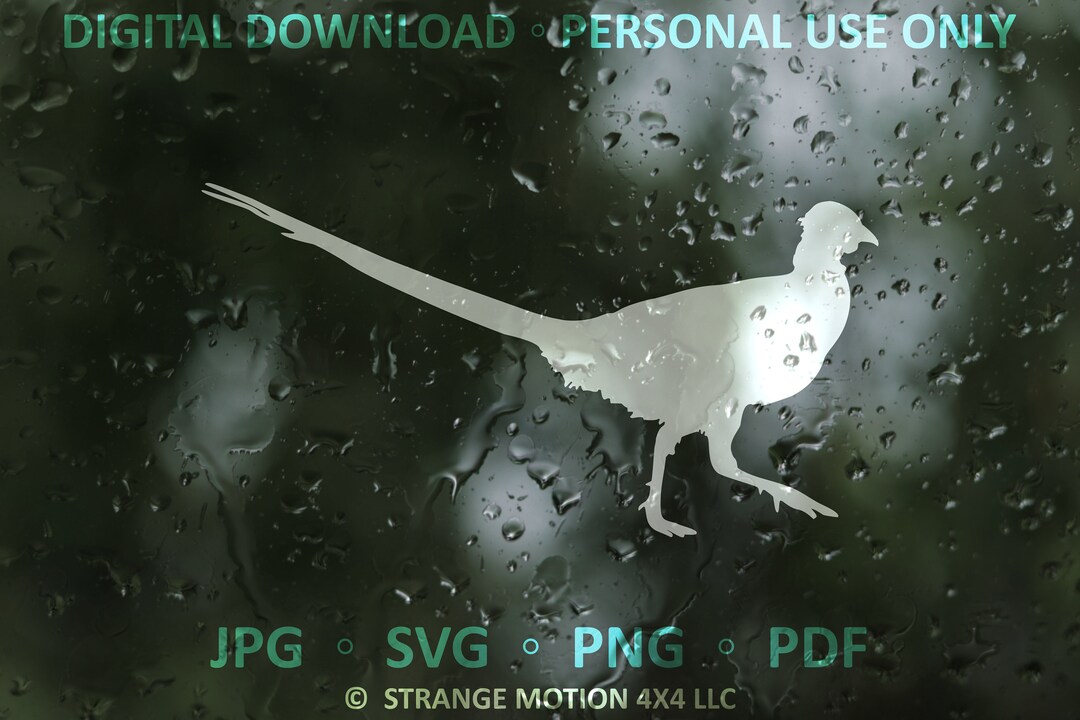 Pheasant SVG File, Bird Clipart, Outdoor Vector, Animal SVG, Hunting ...