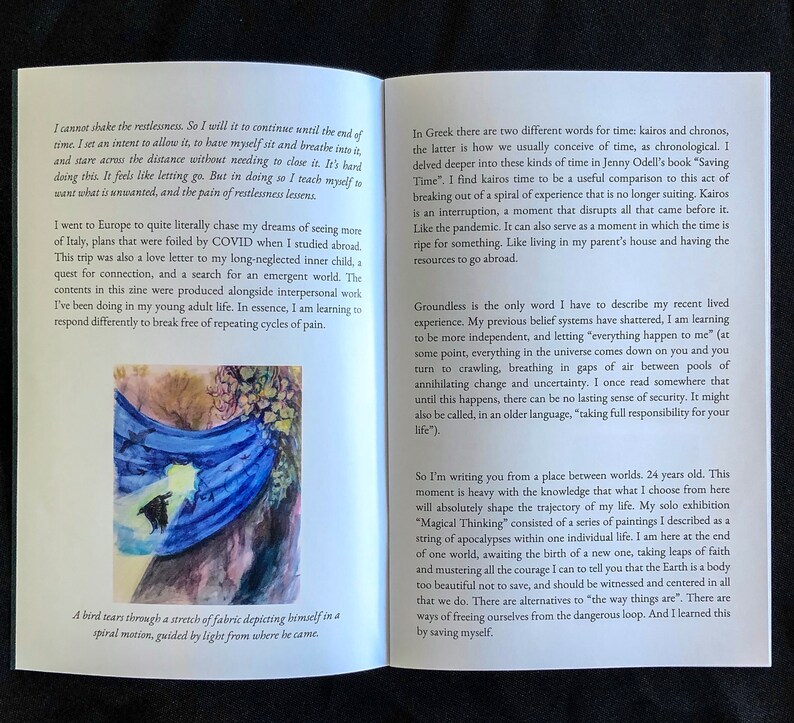 Original Artist Zine, Sketchbook Painting and Photograph Book, Climate ...