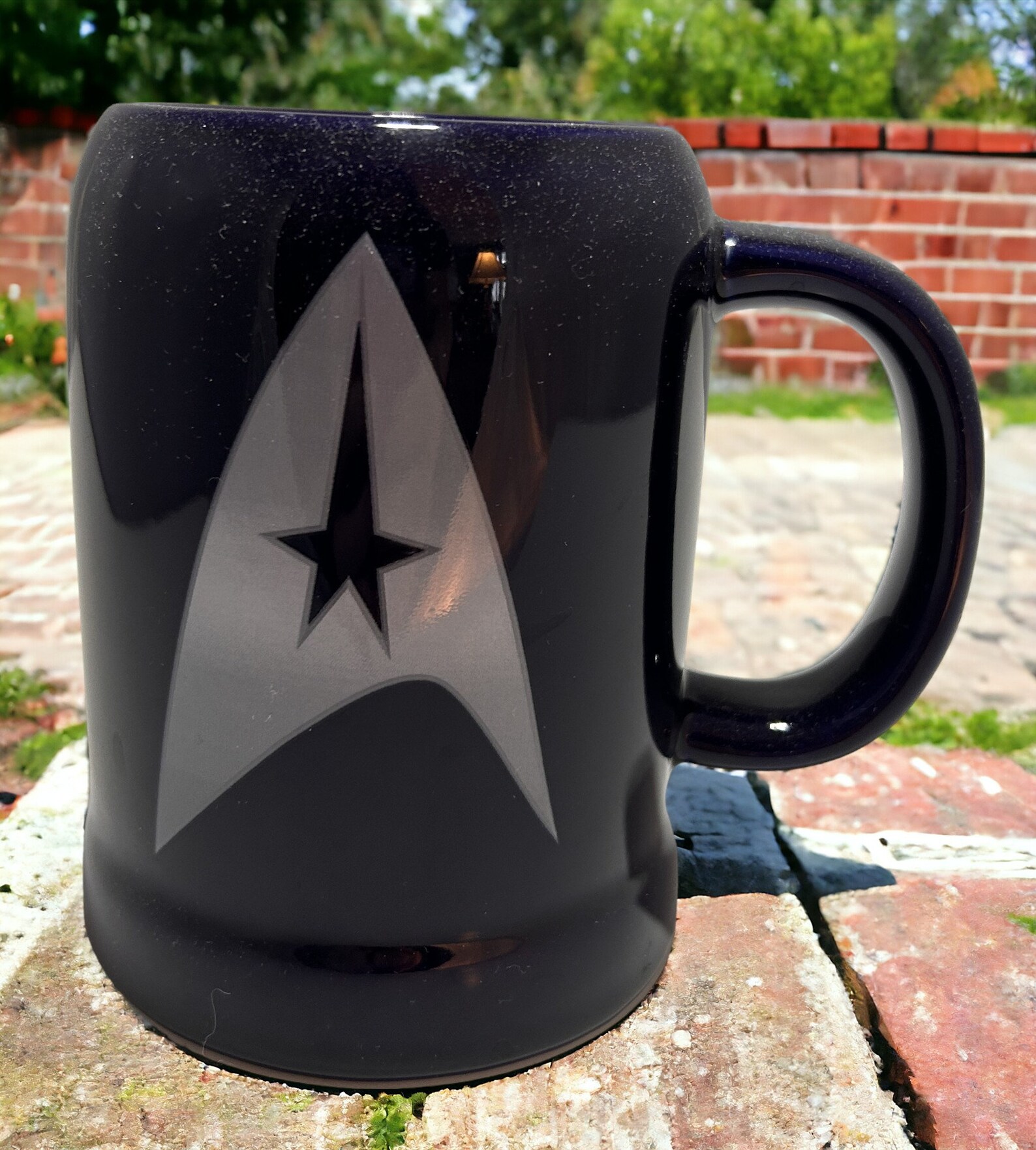 Star Trek CBS Studios Mug Cup Boldly Go Where No Man Has Gone Before ...