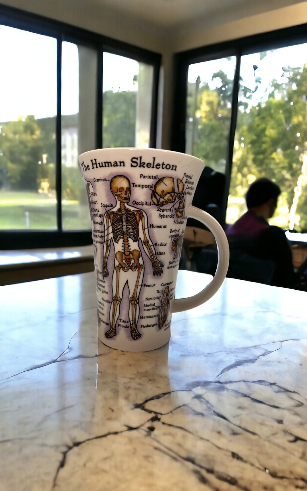 Dunoon Human Body Muscle System Informative Glencoe Coffee Cup Mug Home ...