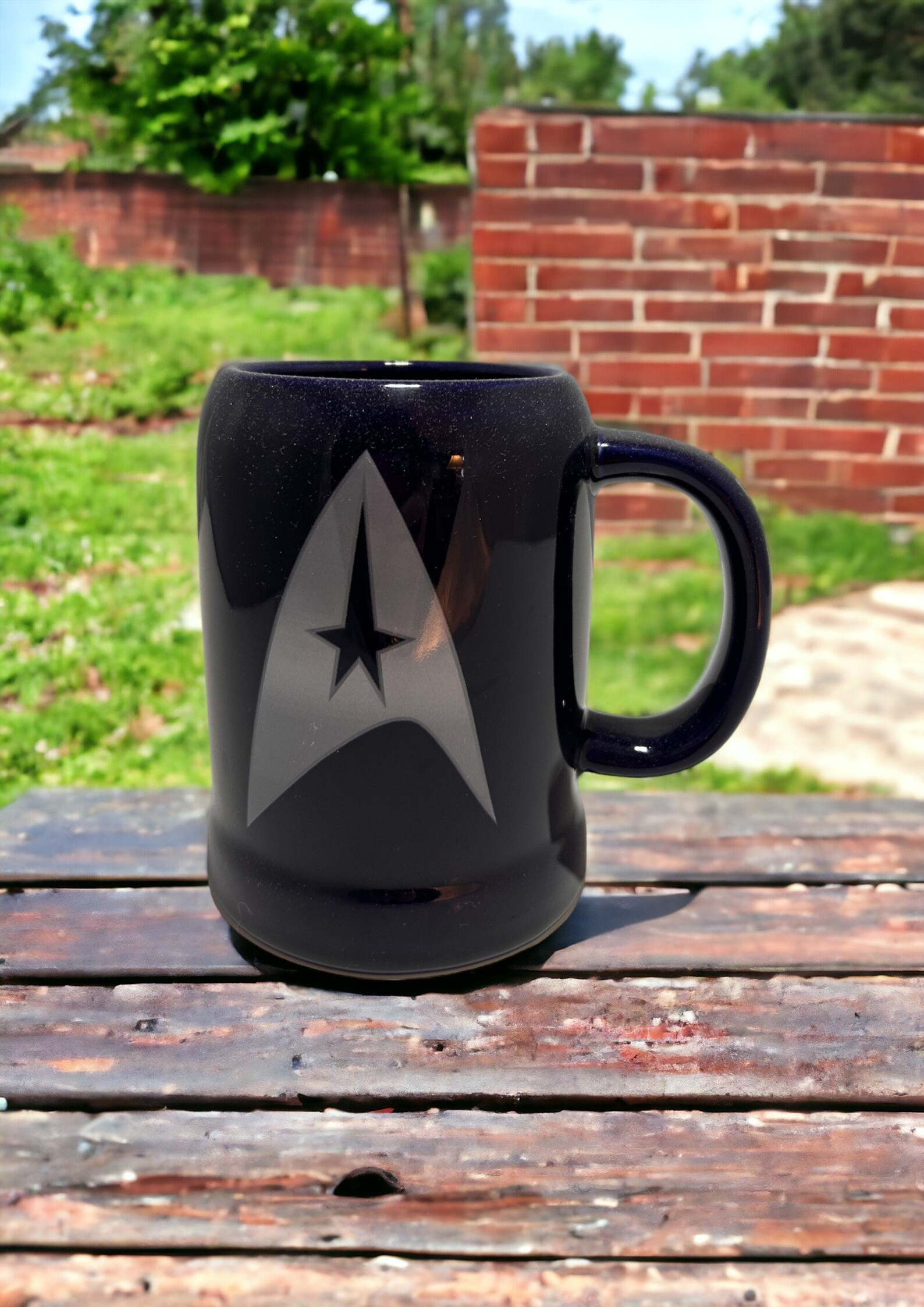 Star Trek CBS Studios Mug Cup Boldly Go Where No Man Has Gone Before ...