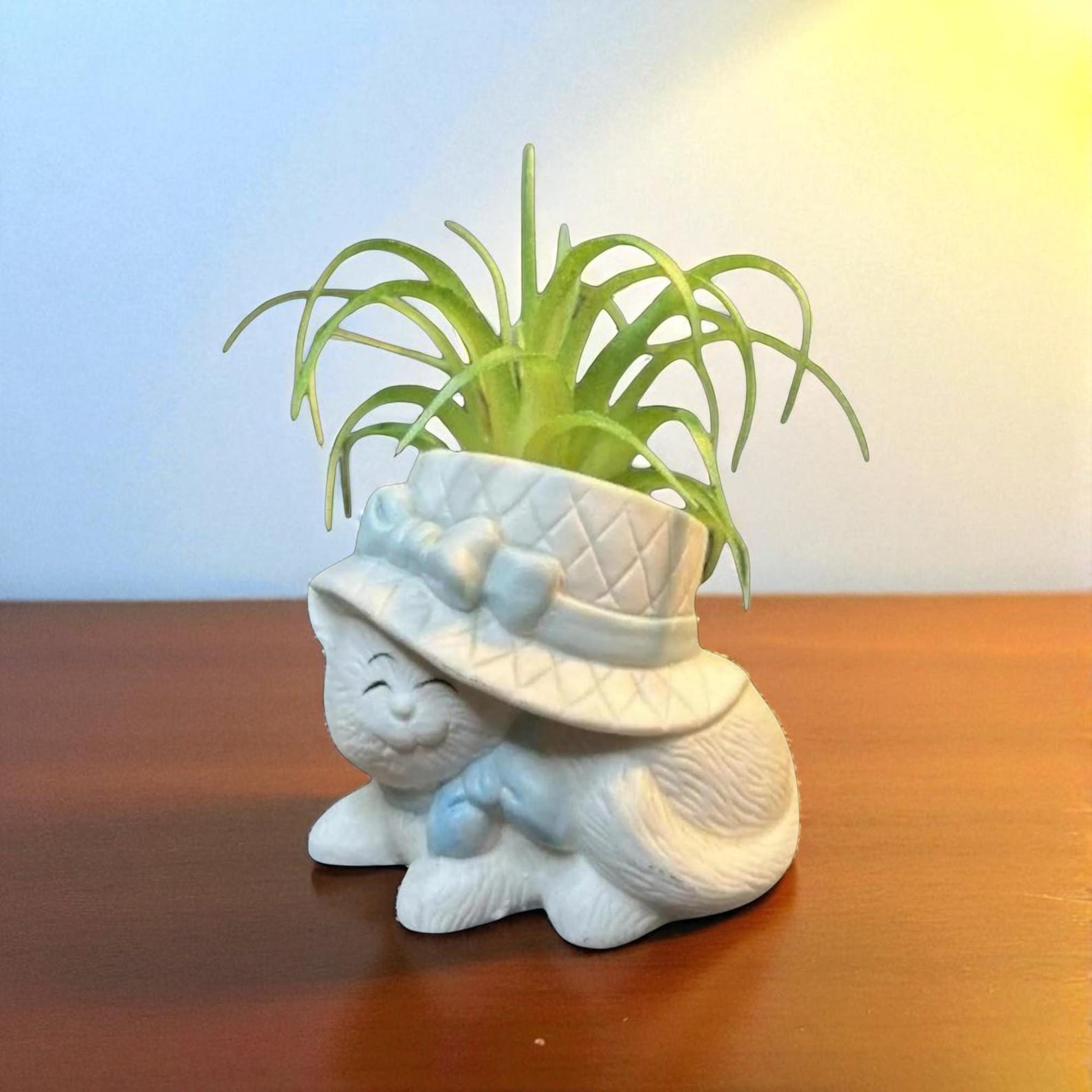 Beautiful White Pottery Cat With Bonnet and Blue Ribbons Succulent Pot ...