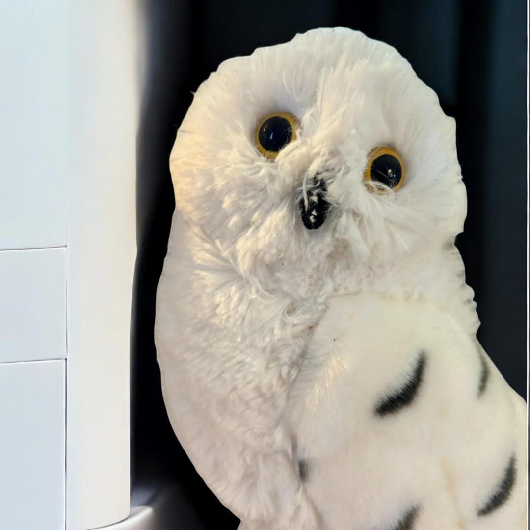 TY Beanie Buddy Hootie the Snowy Owl – Hang Tag Retired Stuffed Animal ...
