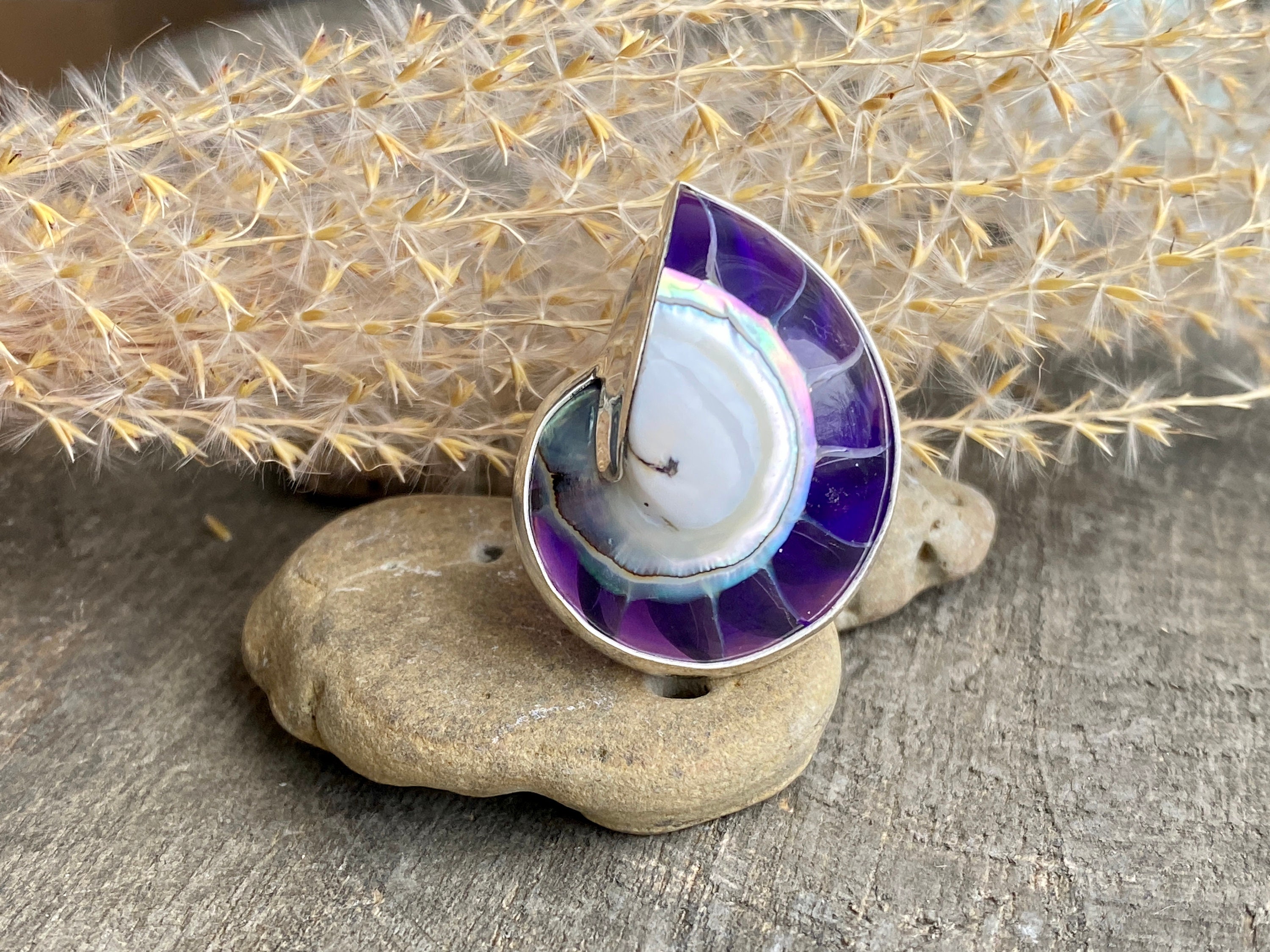Mother of Pearl Nautilus Shell With Purple Resin 925 Silver | Etsy