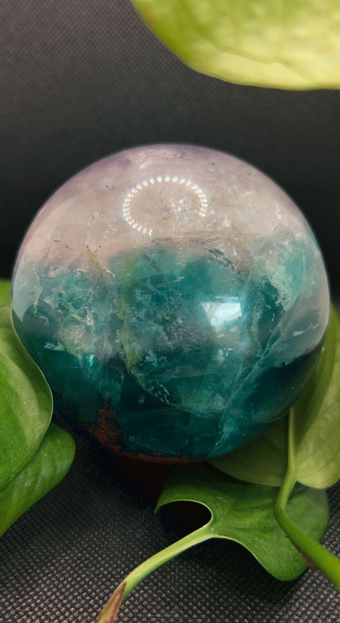 XL Rainbow High Grade Fluorite Sphere Green Crystal Sphere Purple ...