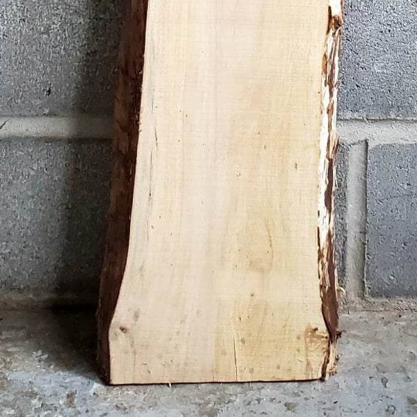 Live Edge Tree Shelf - Etsy