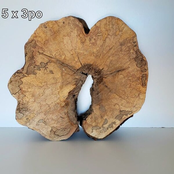 Tree Stump Slabs - Etsy