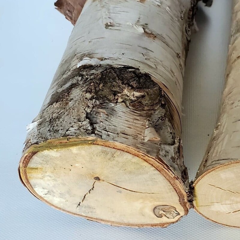 Birch Branches Crafts - Etsy