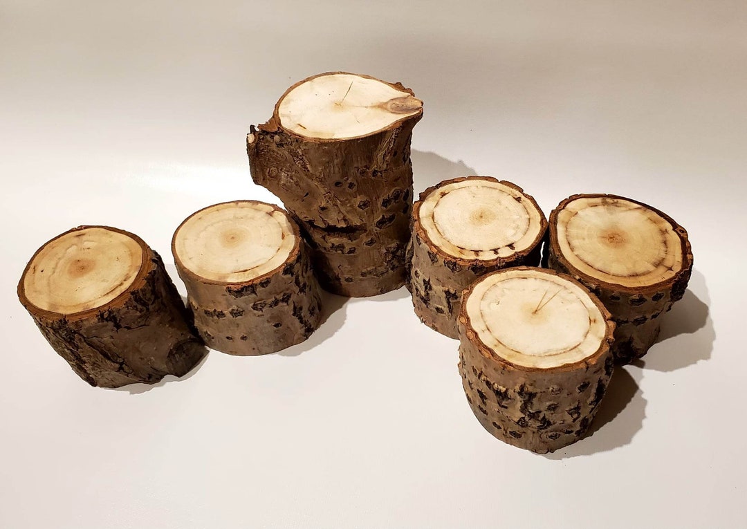 6 Willow Logs / Dried Wood / Rustic Decoration / Crafts - Etsy