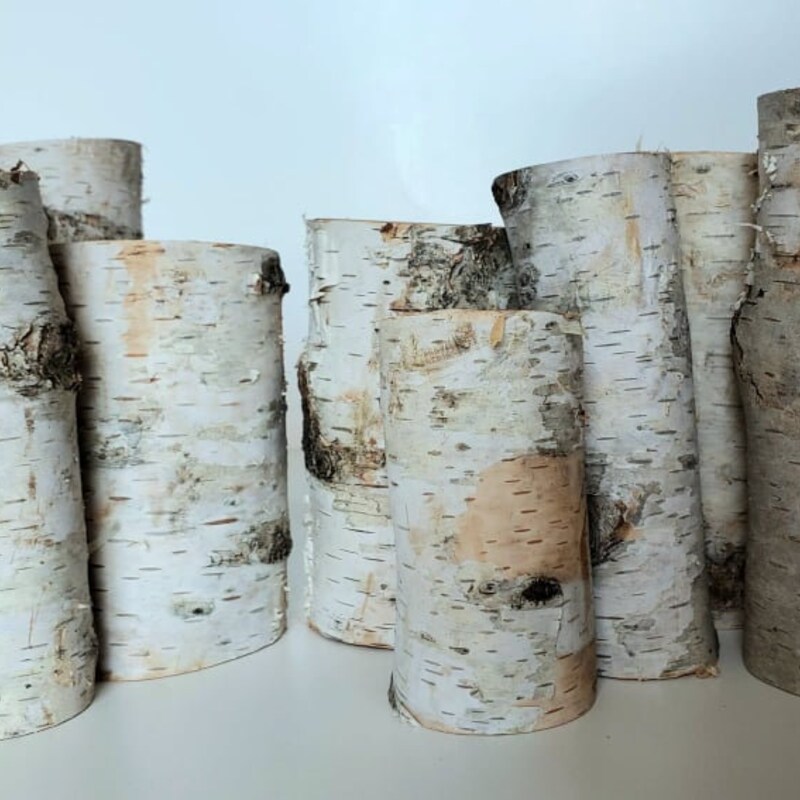 White Birch Logs - Etsy