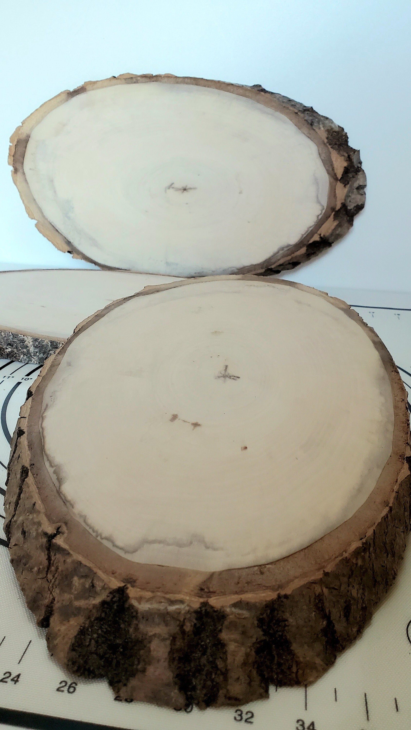 Oval Log P-50 / Sanded / White Wood / DIY / for Craft Project ...