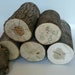 3 to 4 Inches Diameter / Height 6 to 8 Inches / Hardwood Logs / Wood ...