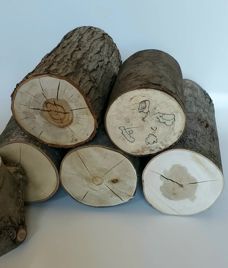 3 to 4 Inches Diameter / Height 6 to 8 Inches / Hardwood Logs / Wood ...