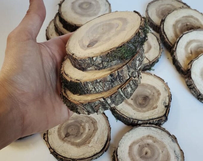 32 Elm Discs / 3 Inches / Craft / Rustic Decoration - Etsy