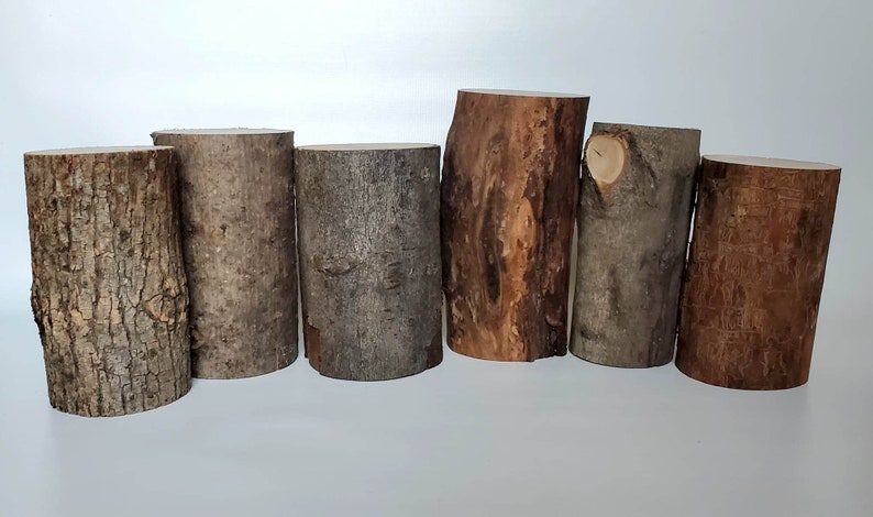 3 to 4 Inches Diameter / Height 6 to 8 Inches / Hardwood Logs / Wood ...