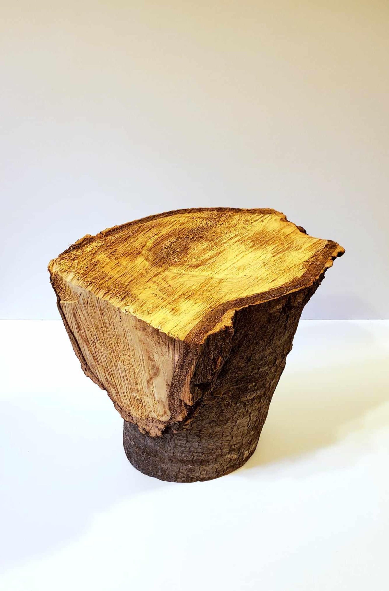 Log / Rustic / Natural / Raw and Dry Wood / Log #7 - Etsy