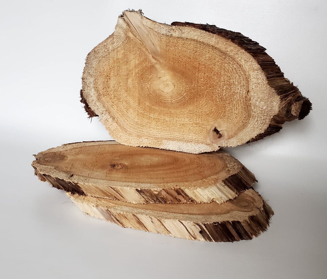 3 Oval Wood Slices / Cedar Wood / Craft Wood / Wood for Crafts - Etsy