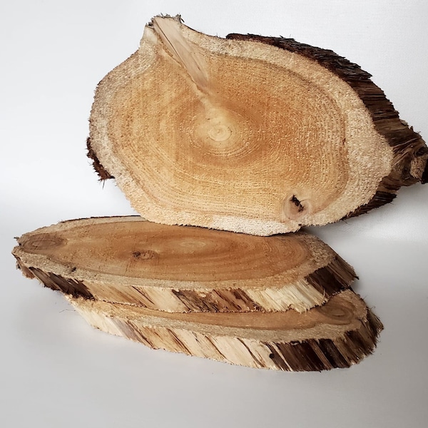 Bulk Wood Slices - Etsy