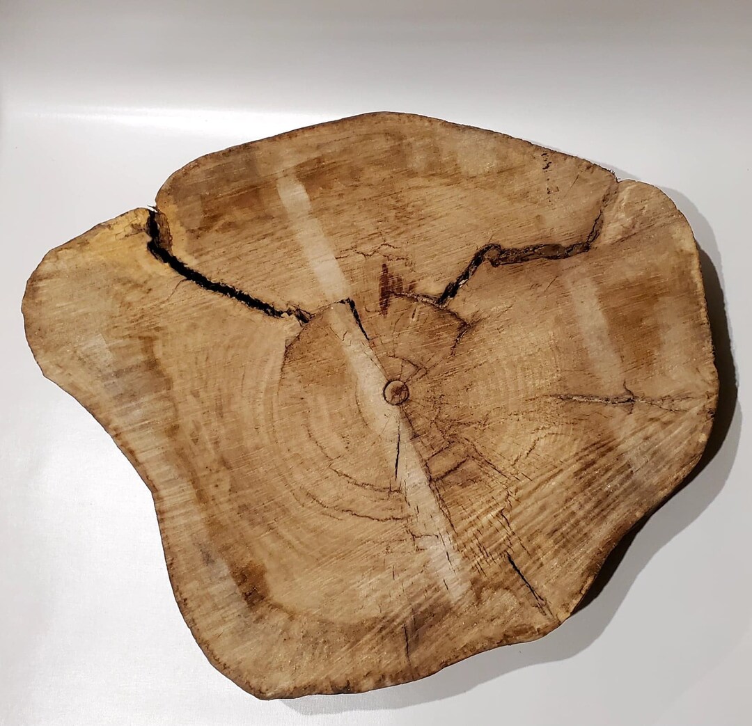 23 X 27 Inch Slab / Large Tree Slice / Wooden Cookie / Raw Wood / Dry ...