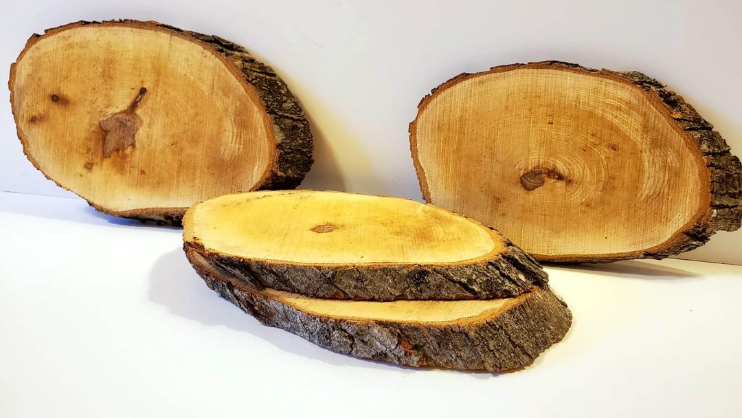 Maple Wood Log / Natural Raw Wood / Wood Craft / Oval Slice - Etsy