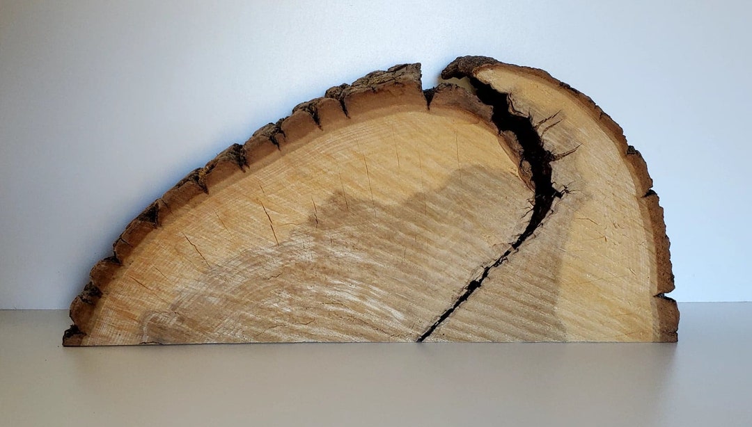 Half Log / Wood Art / Wood Craft / Live Edge Wood - Etsy