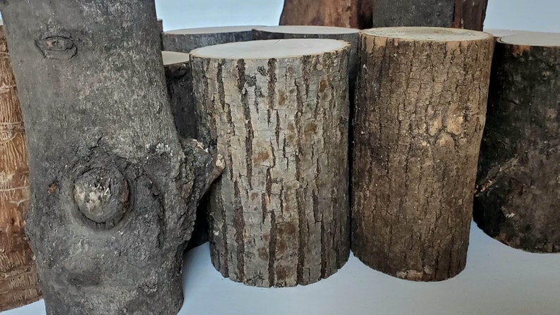 3 to 4 Inches Diameter / Height 6 to 8 Inches / Hardwood Logs - Etsy