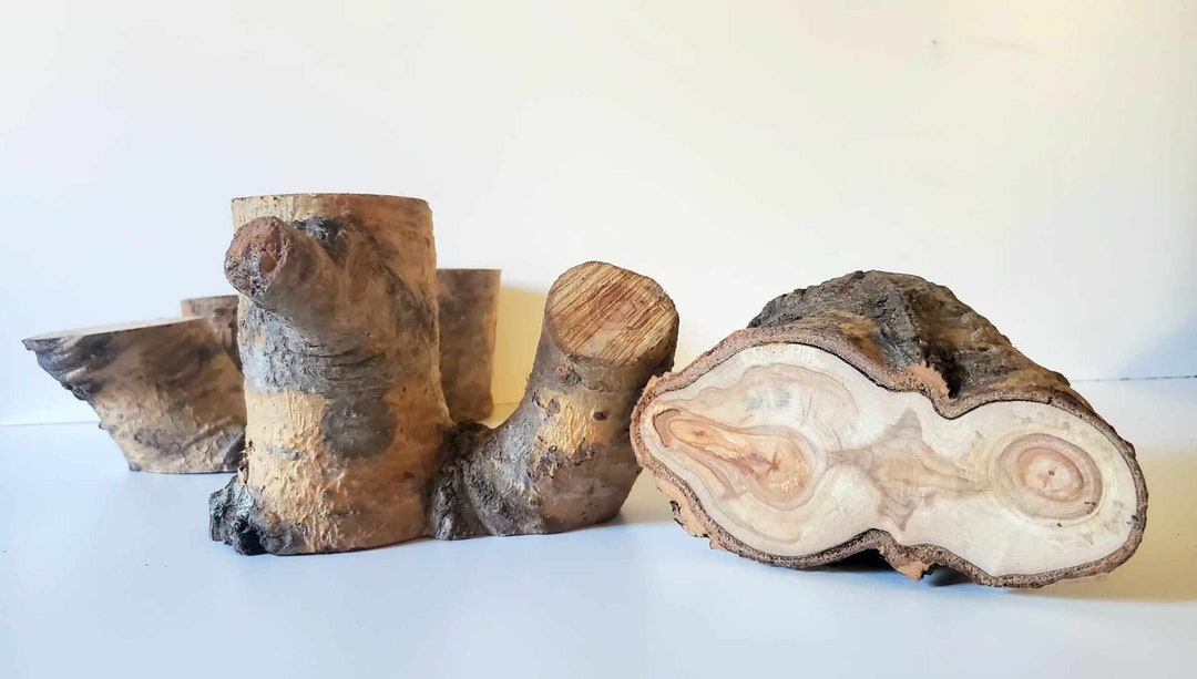 5 Small Logs / Irregular Shapes / Rustic Decoration Wood / Craft Wood ...