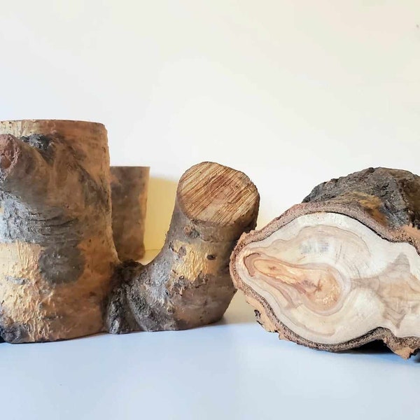 Irregular Wood Slice - Etsy