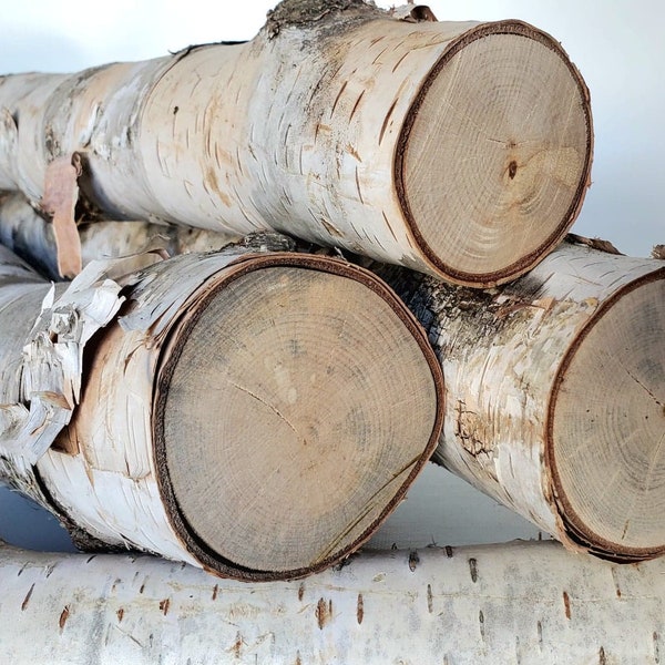 Birch Branches Crafts - Etsy