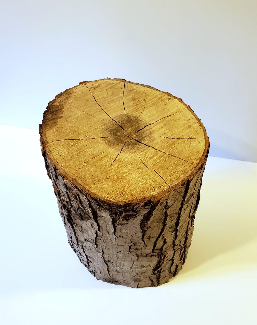 Maple Log / Diameter 7.5 Inches / Hardwood / Craft / Log 30 - Etsy