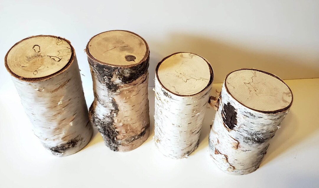 4 Birch Logs / Small Wood / Craft / Branches / Natural / Rustic Wooden ...
