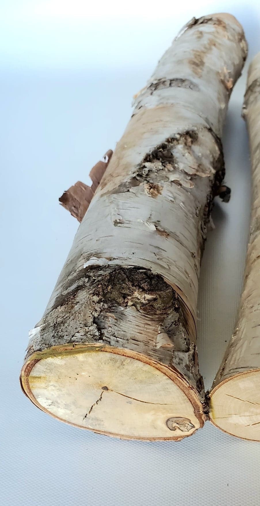 White Birch Stick / Dried Wood / Craft / Rustic Decoration - Etsy