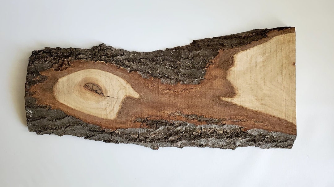 CLEARANCE / Piece of Oak Wood / Live Edge Wood / Dried Wood / Wood and ...