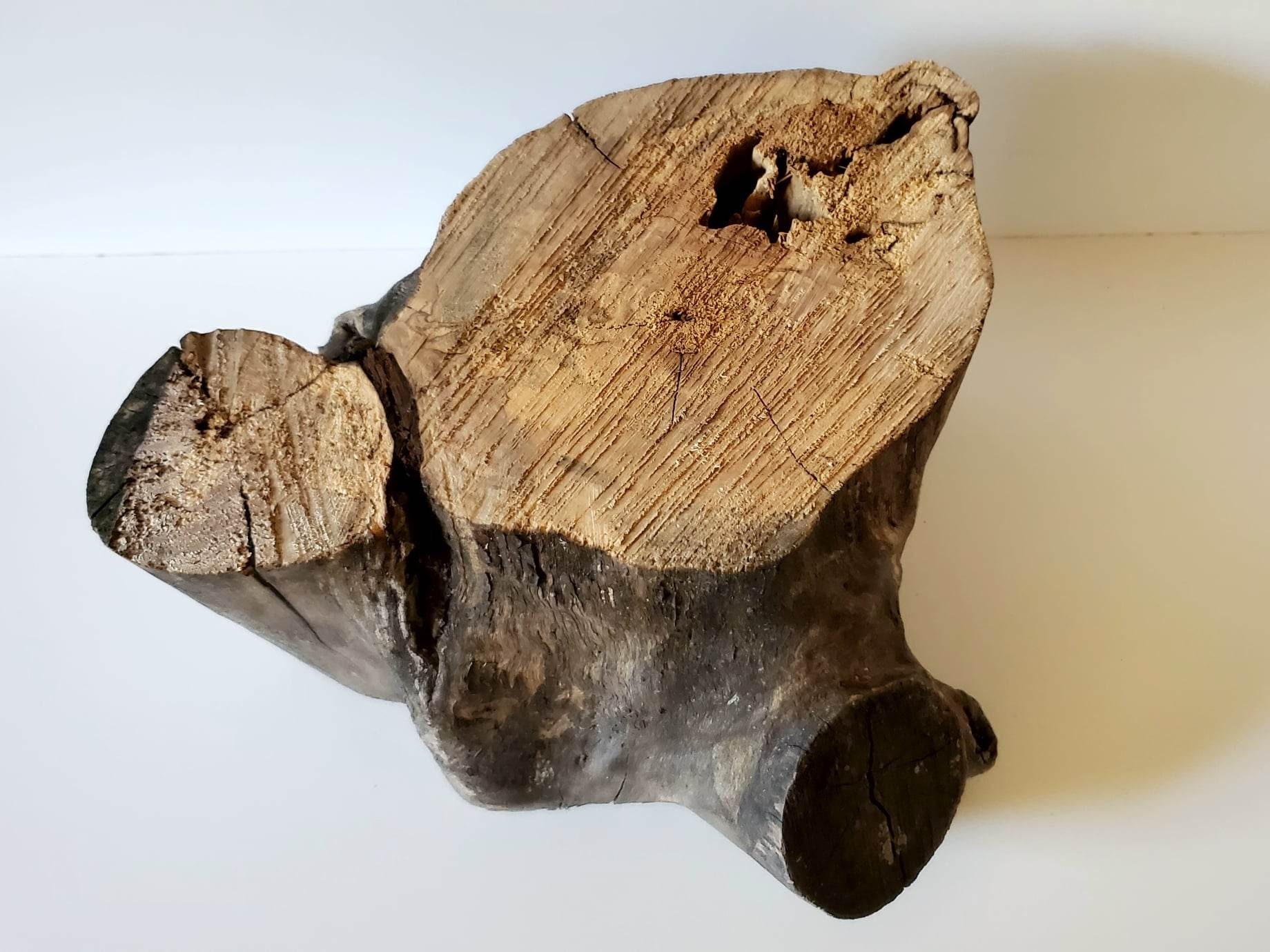 Wooden Log / 8 Inches Diameter / Maple Wood / Log / Decoration / Craft ...