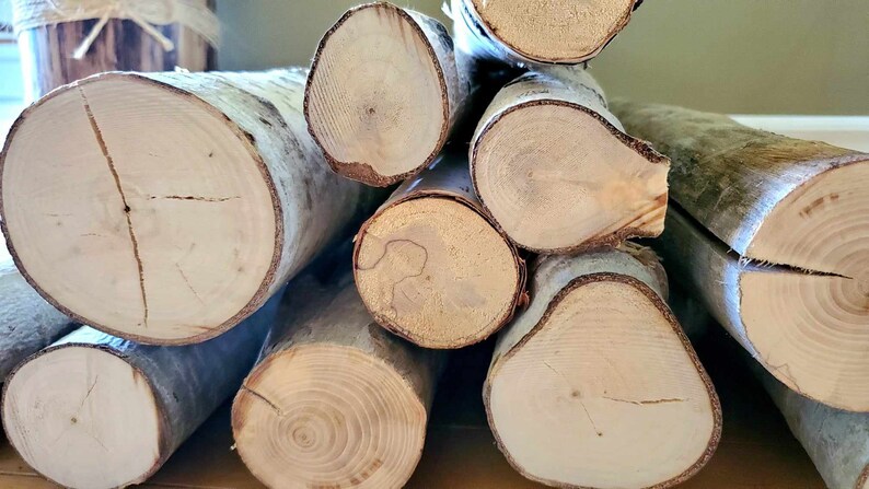 Wooden Logs Sticks / Wood Rope / Dried Branches / Rustic Decoration ...