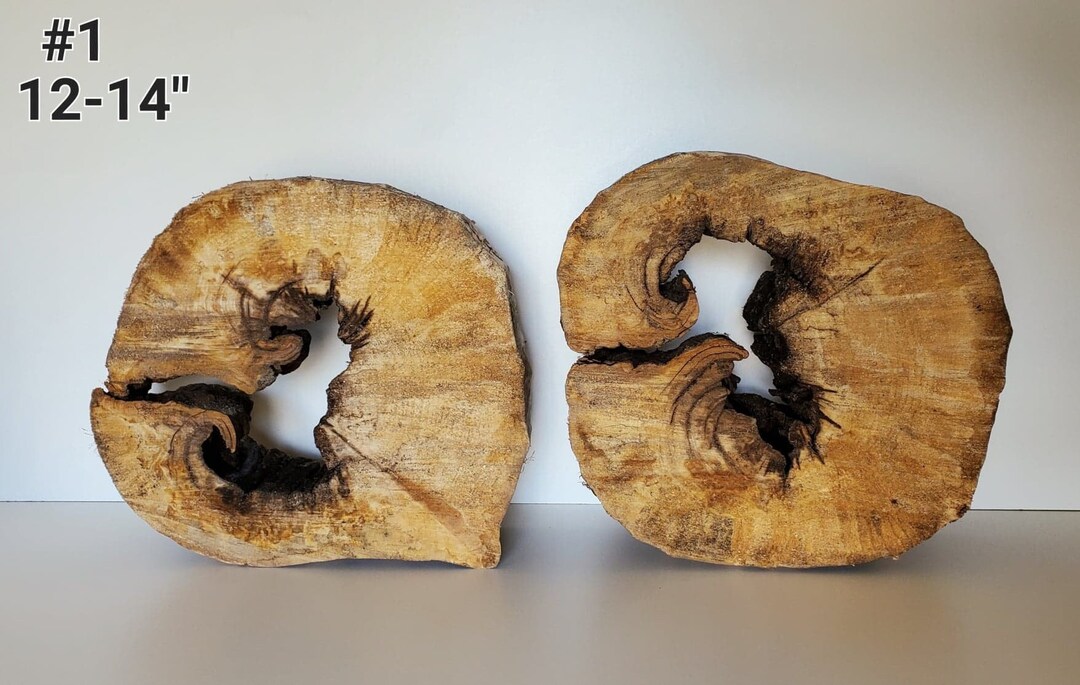Round Log / Slab With Holes / Raw Wood for Your Creations / Craft ...