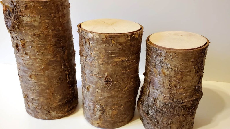 3 Logs / Diameter 2.75 to 3 Inches / Natural / Rustic - Etsy