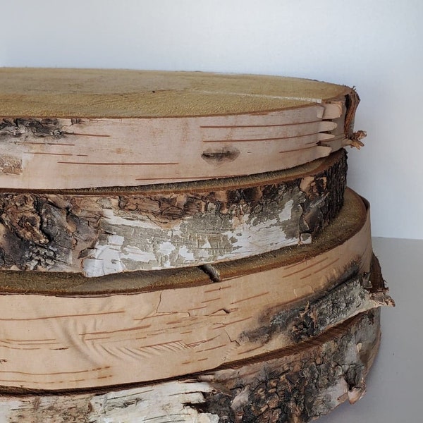 Birch Wood Slab - Etsy Canada